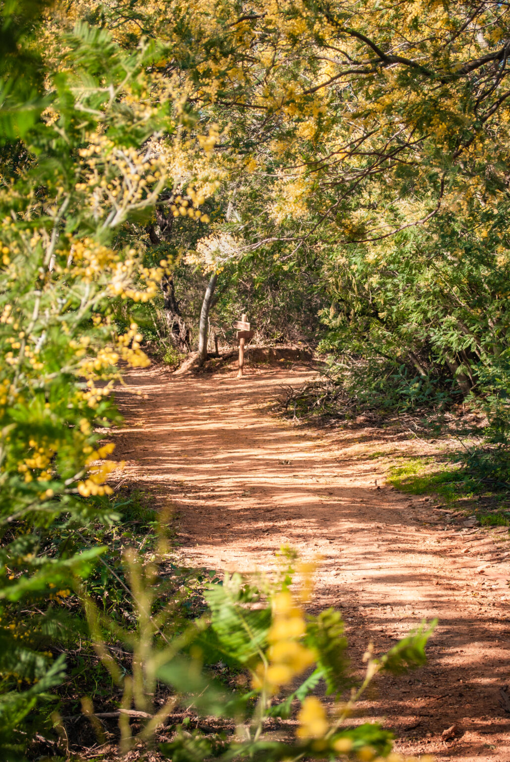 La randonnée sur le littoral des Issambres - Roquebrune-sur-Argens Tourisme