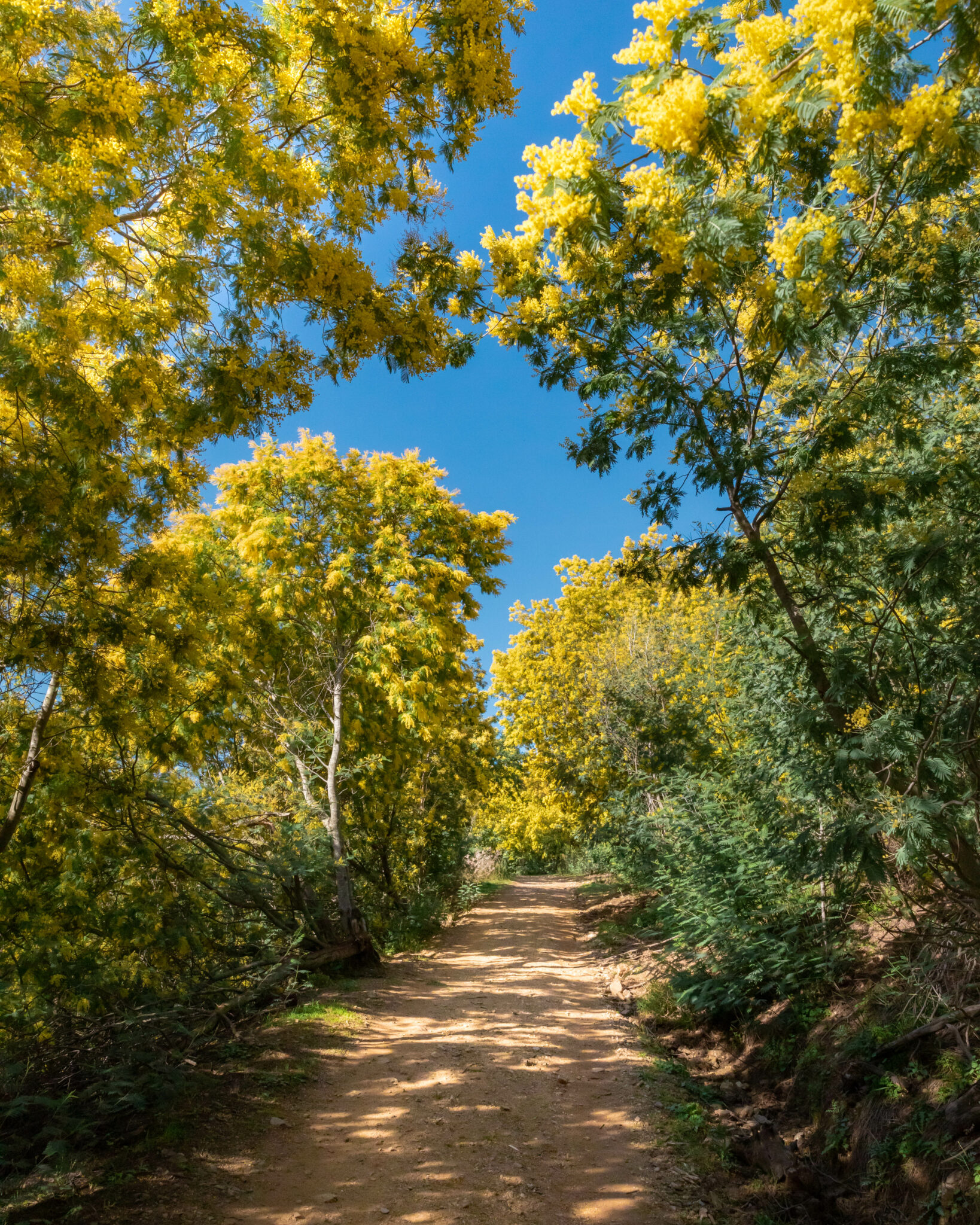La randonnée sur le littoral des Issambres - Roquebrune-sur-Argens Tourisme
